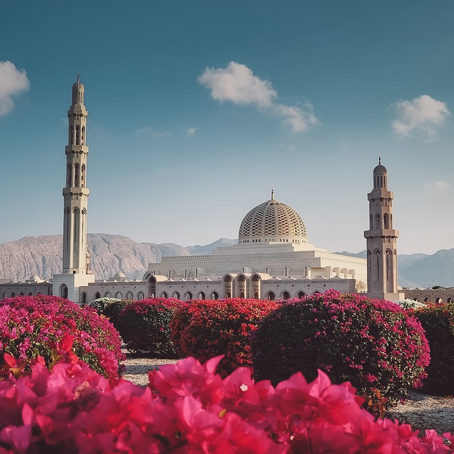 Oman: Mascate, Wahiba Sands, Nizwa et Jebel Akhdar . Le meilleur prix ...